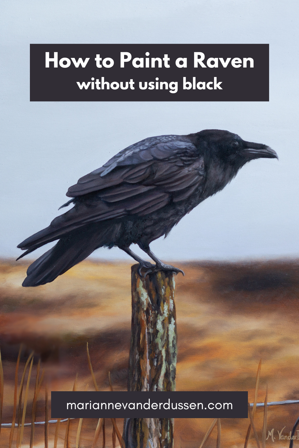 How to Paint a Realistic Raven in Oil: Step-by-Step Tutorial – Marianne ...